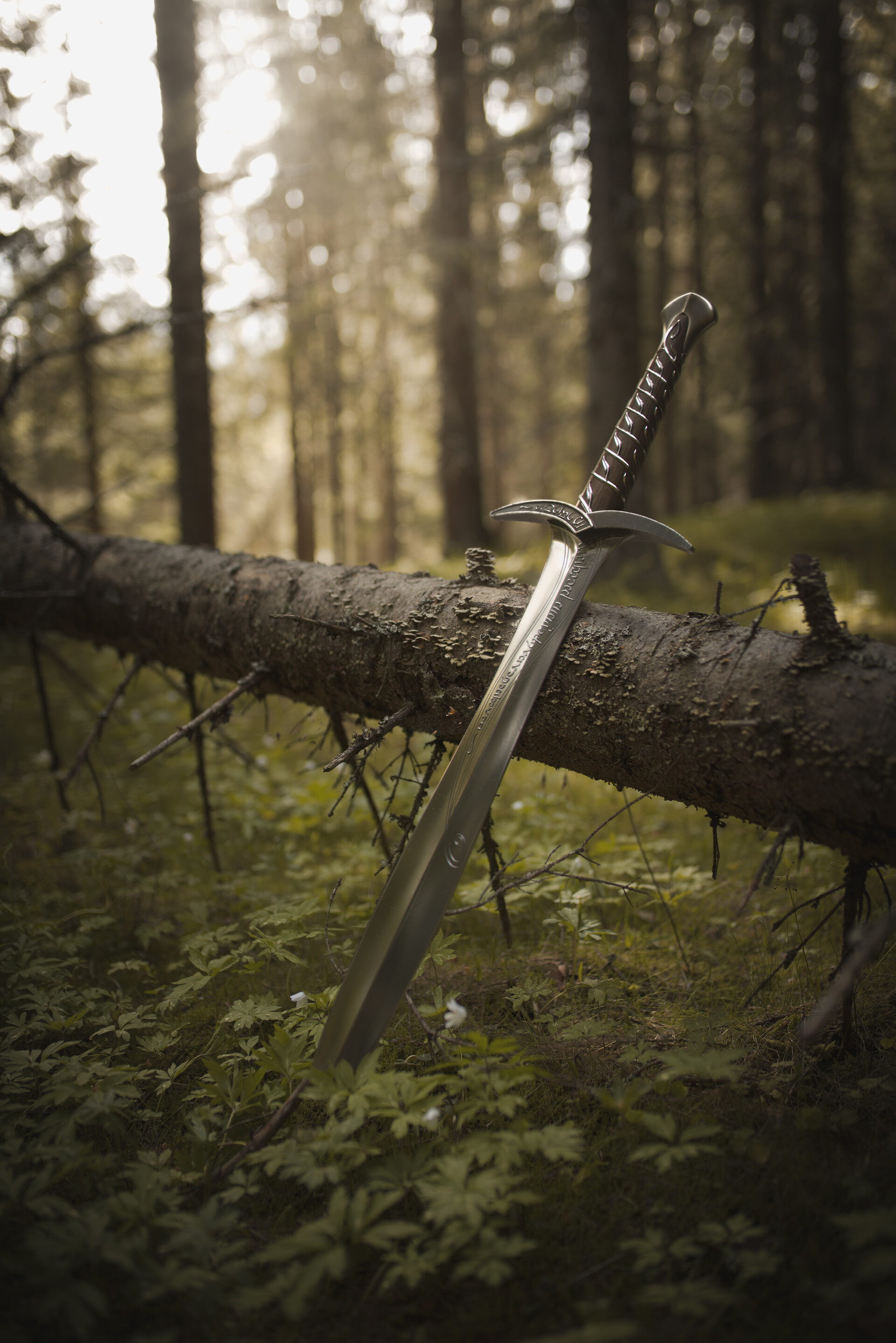 William Faucher - Sting