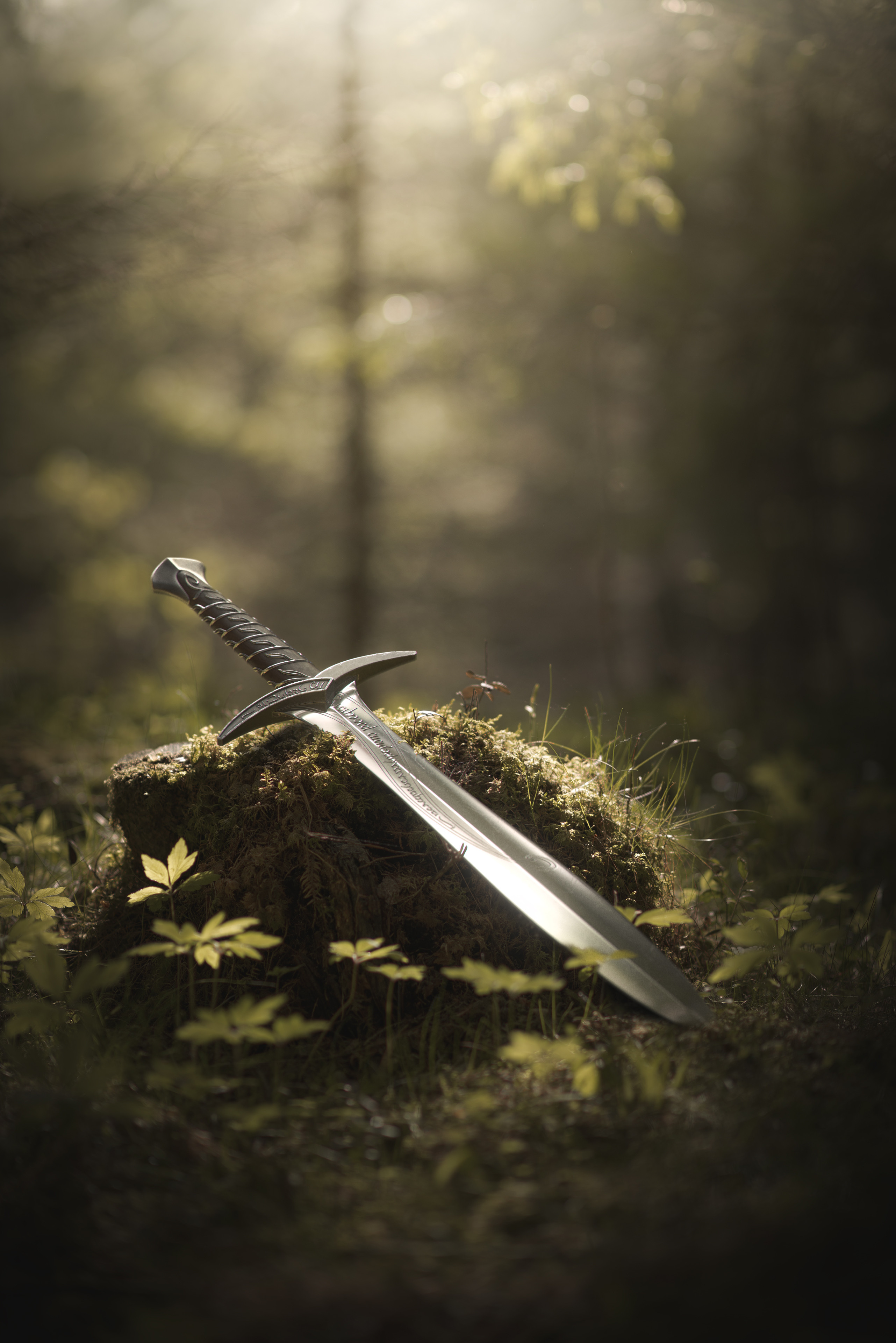 William Faucher - Sting