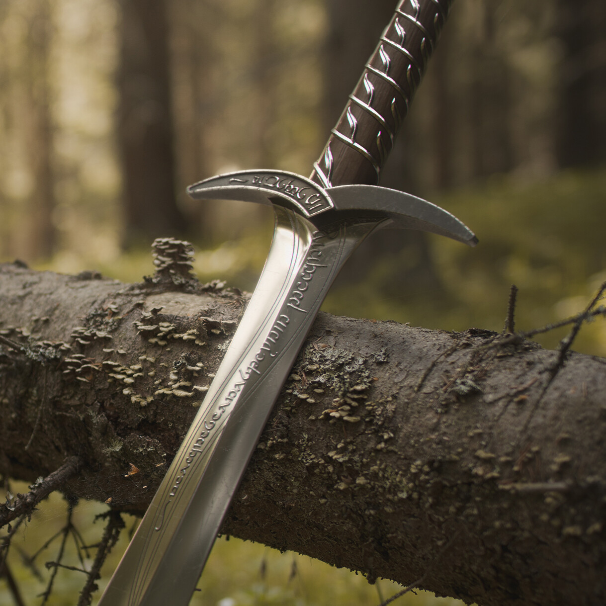 William Faucher - Sting