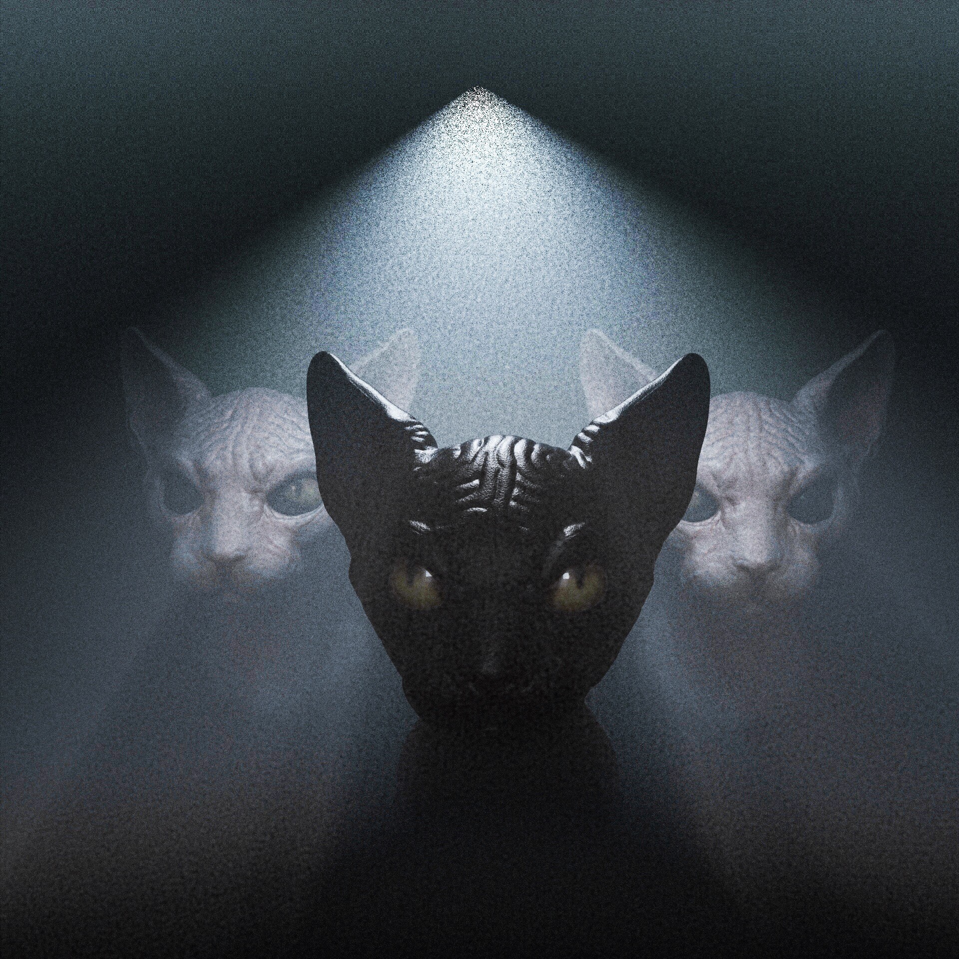 ArtStation - sphynx cat