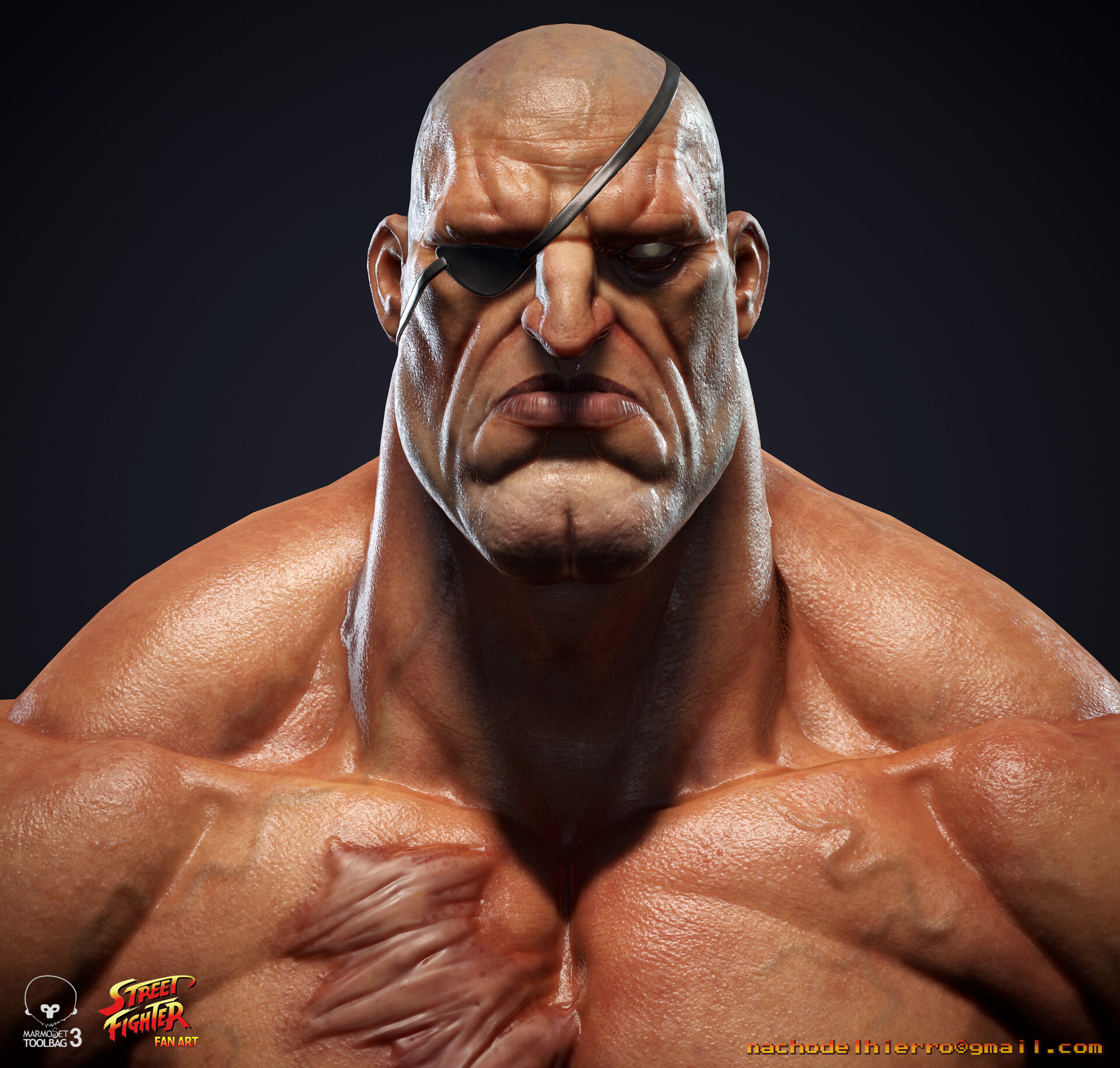 Nacho del Hierro - Sagat - Street Fighter