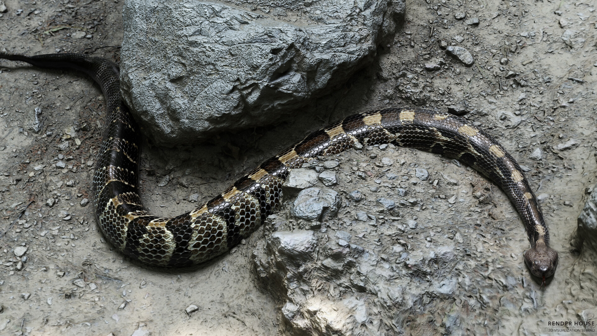 ArtStation - Snake in nature CG