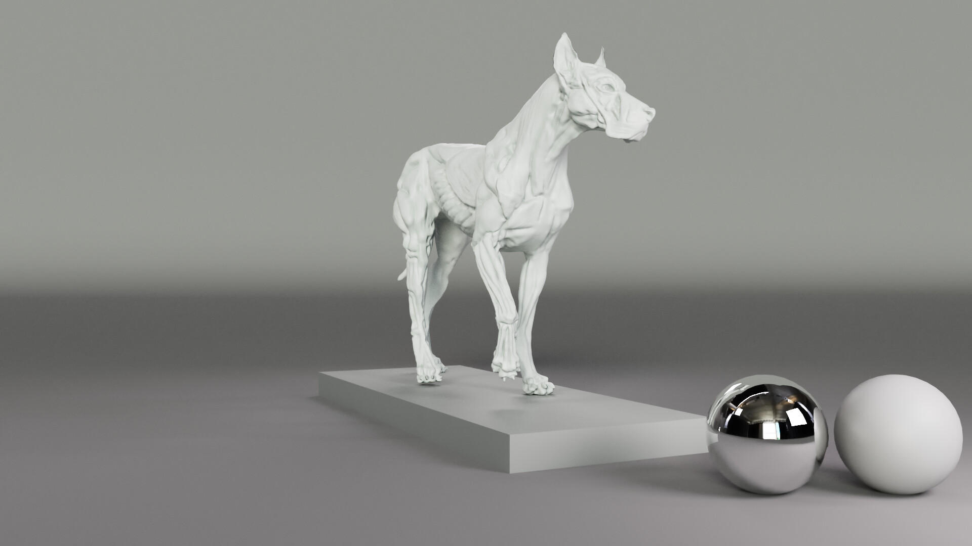 ArtStation - Photoscan of Gael Kerchenbaum's Canine Ecorche