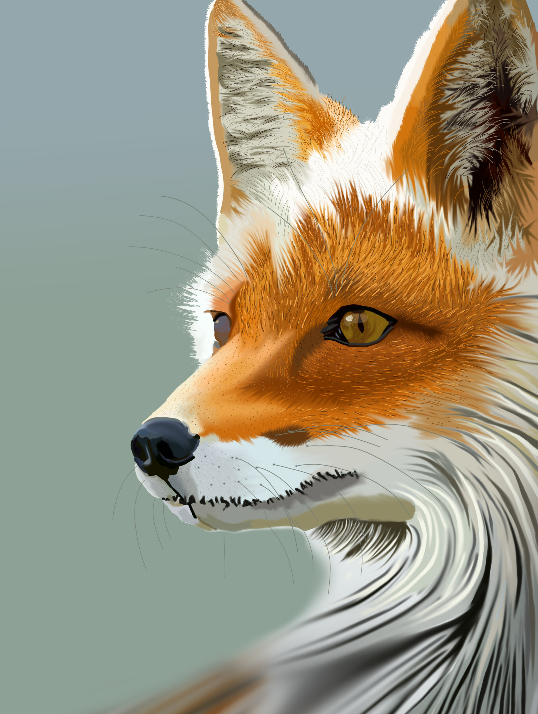 ArtStation - Fluffy Fox