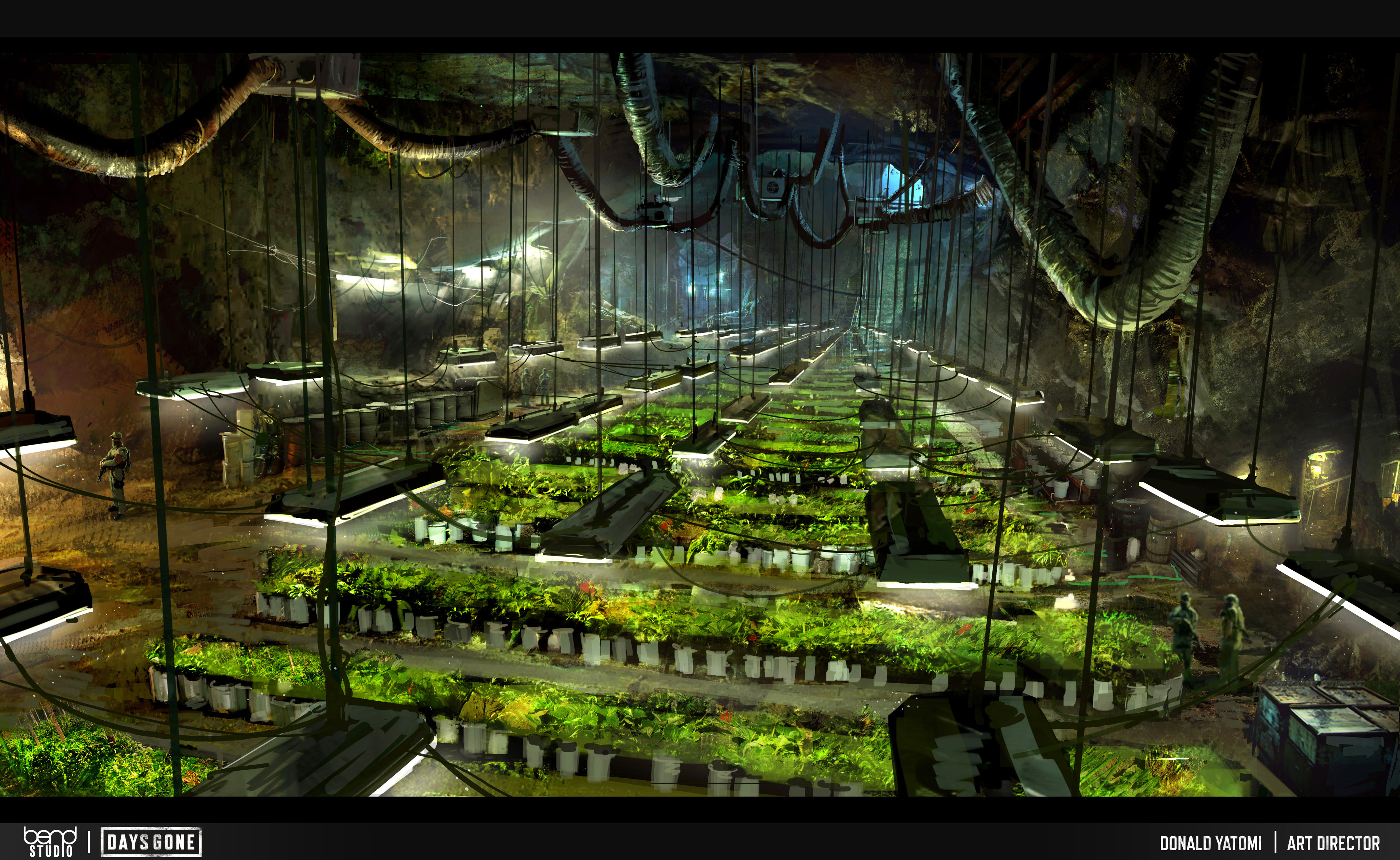 donald yatomi - Hydroponics Cave