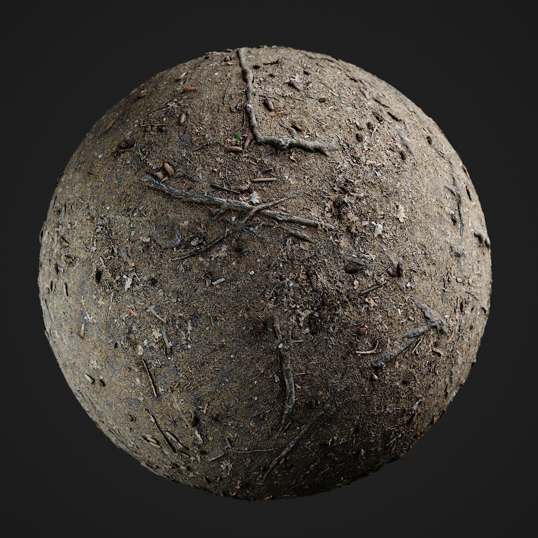 ArtStation - Scanned Forest Root Ground