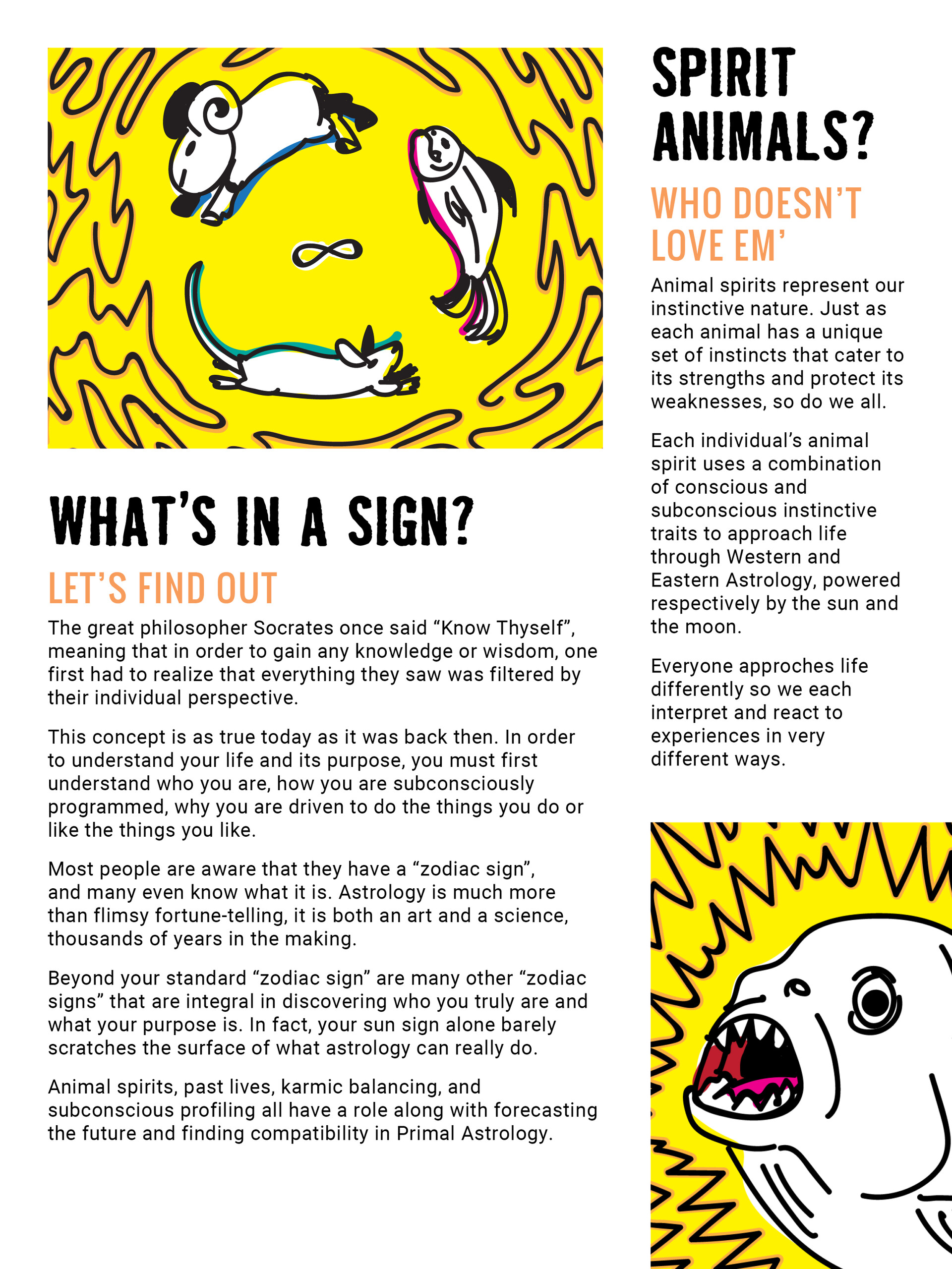 Primal zodiac combination 60 photos - Astrologytoyou.com