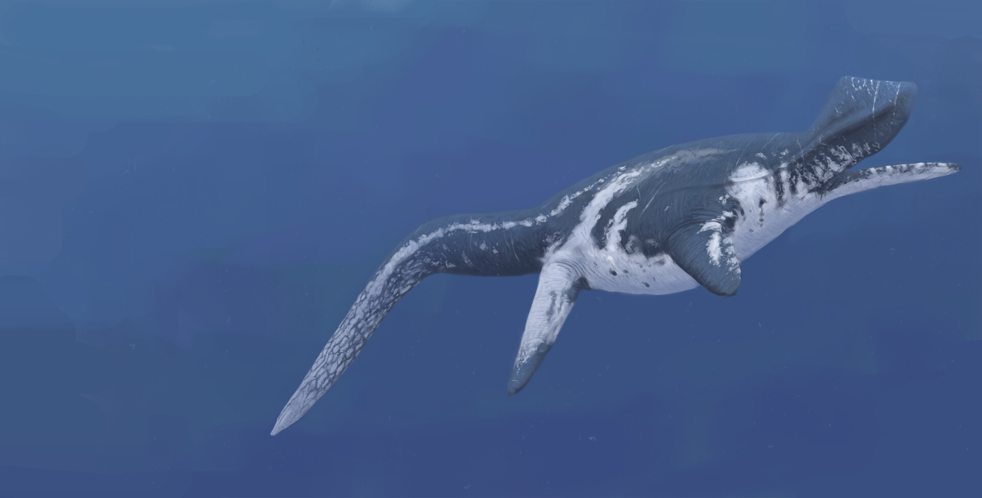 ArtStation - Albertonectes