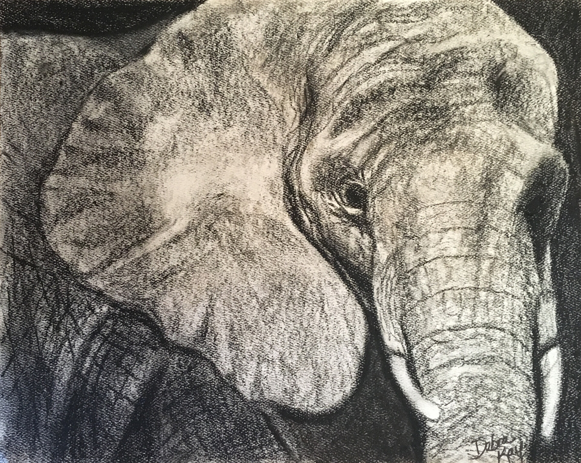 ArtStation - Elephant