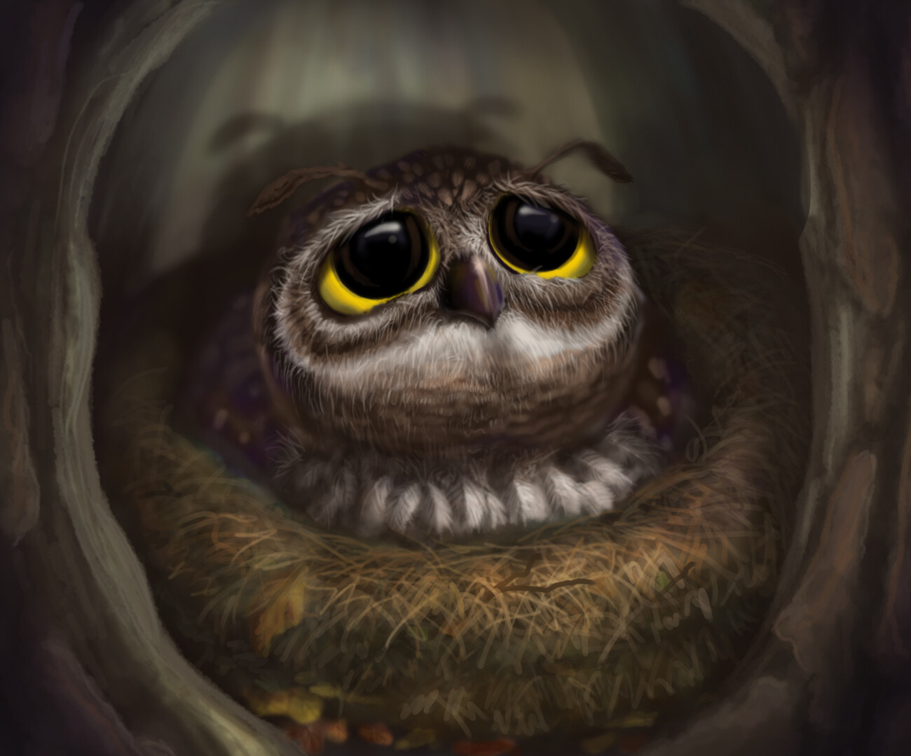 ArtStation - Little owl