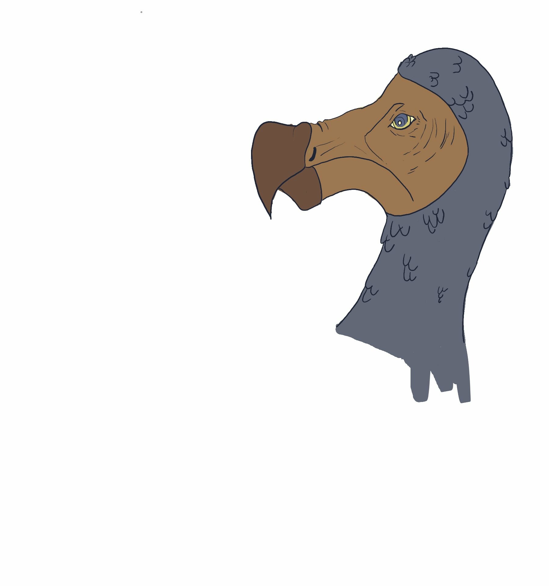 ArtStation - dodo head