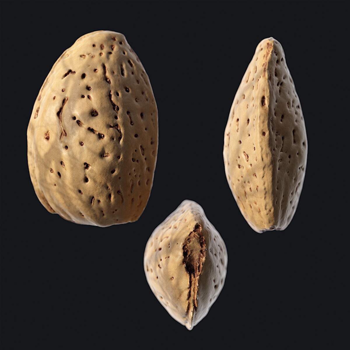 ArtStation - 3D Scanned Almond