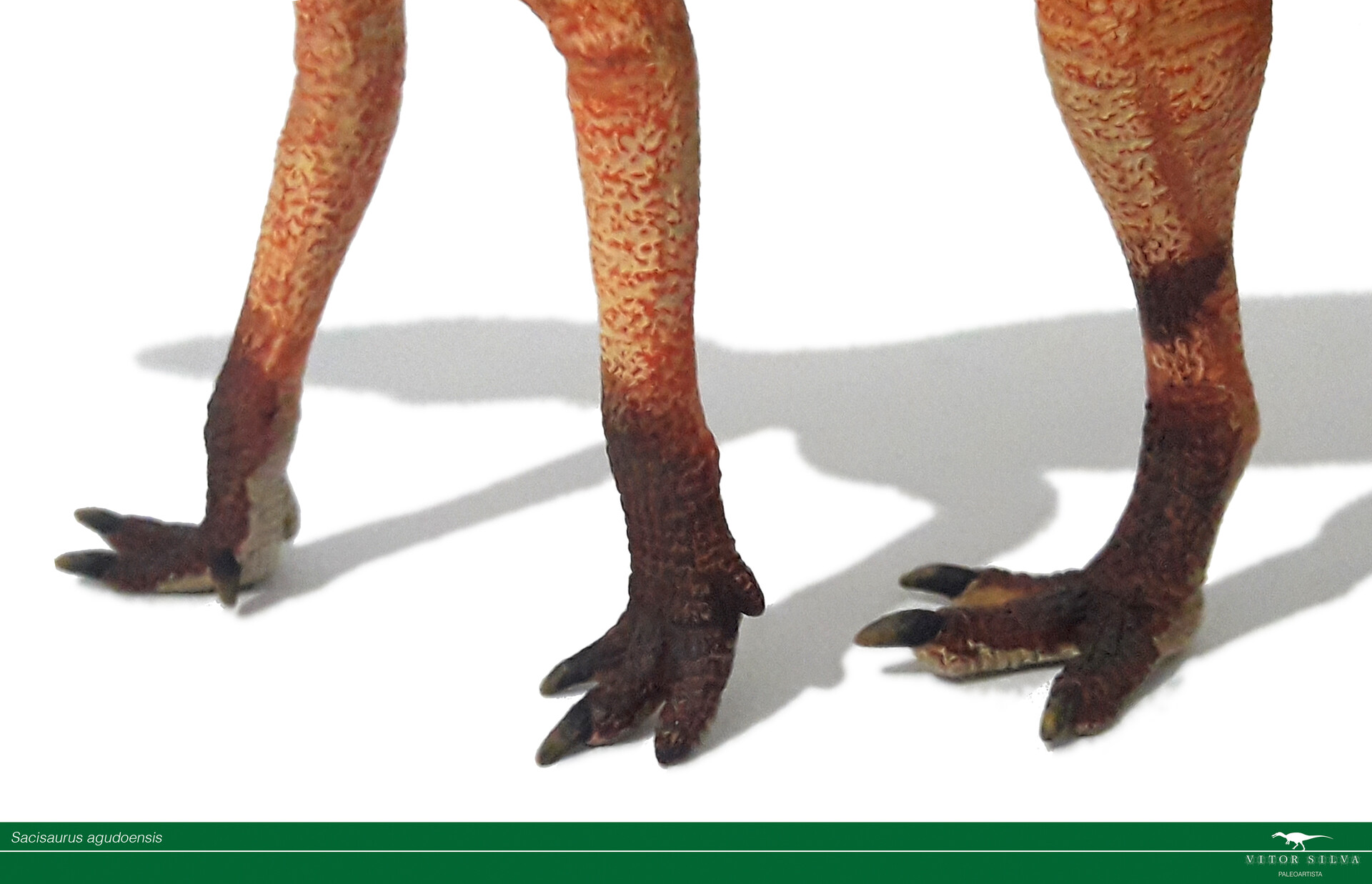 Vitor Silva - Sacisaurus