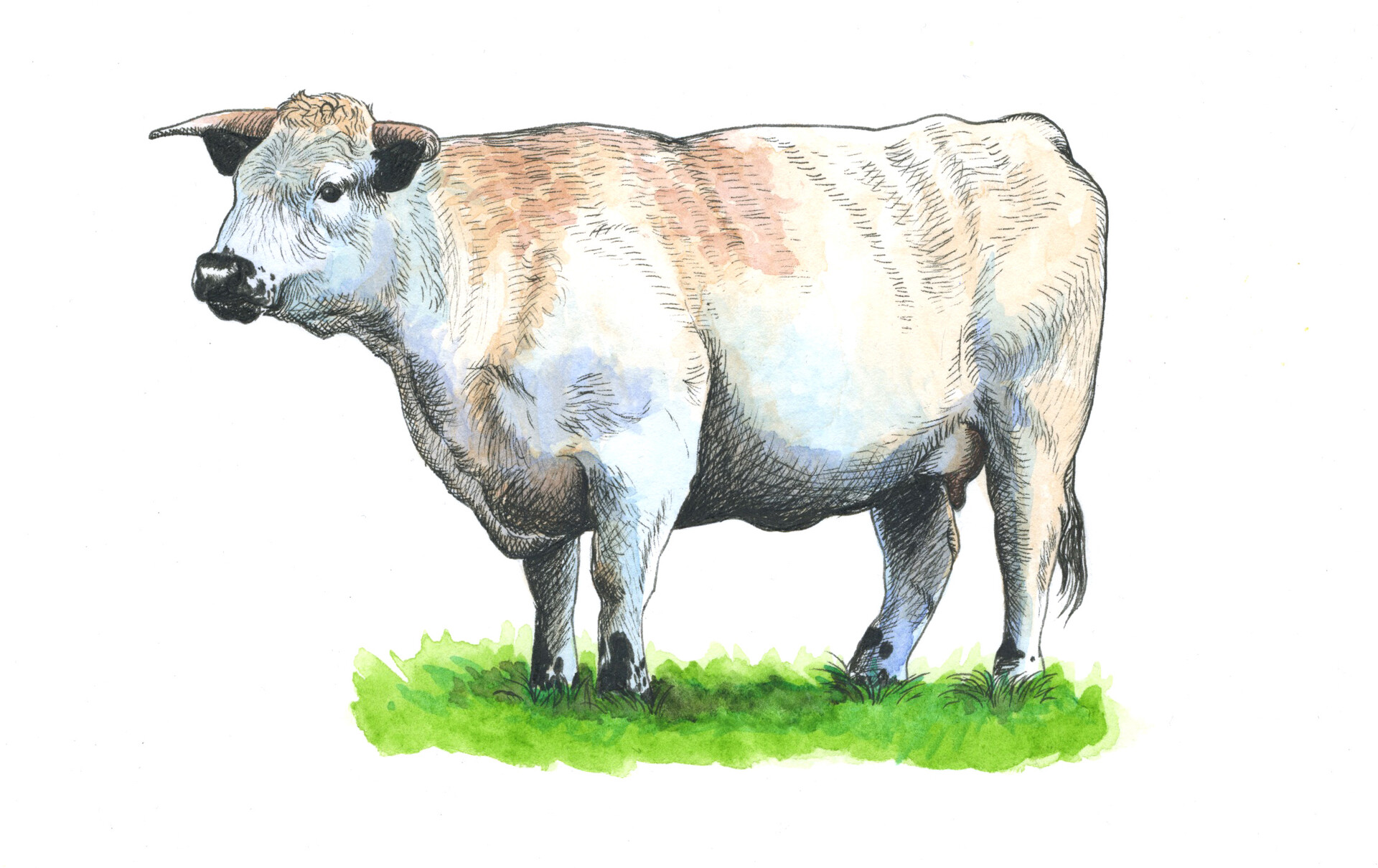 Beth Lindley - College Final Major Project