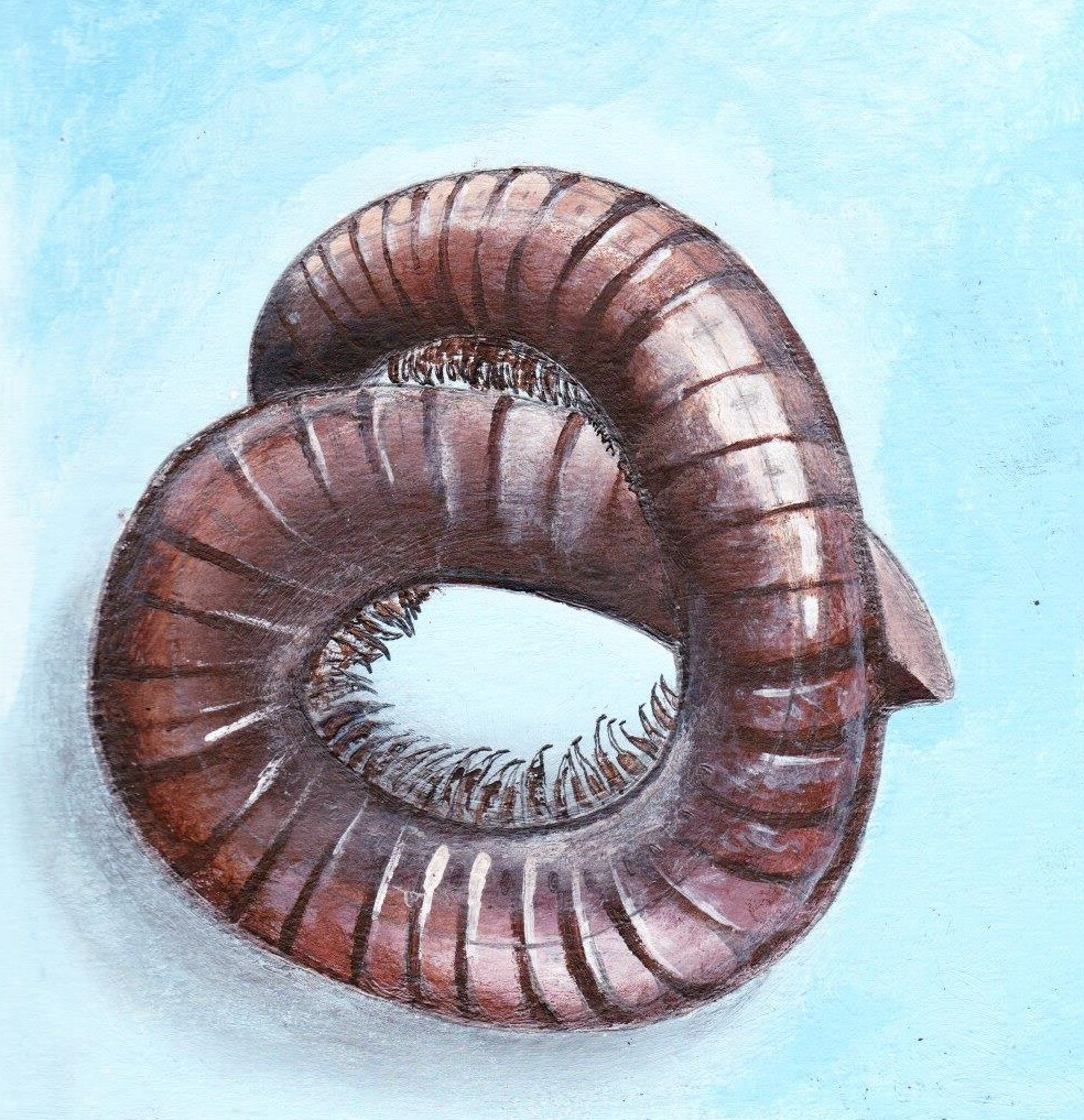 ArtStation - Arthropod Painting Studies