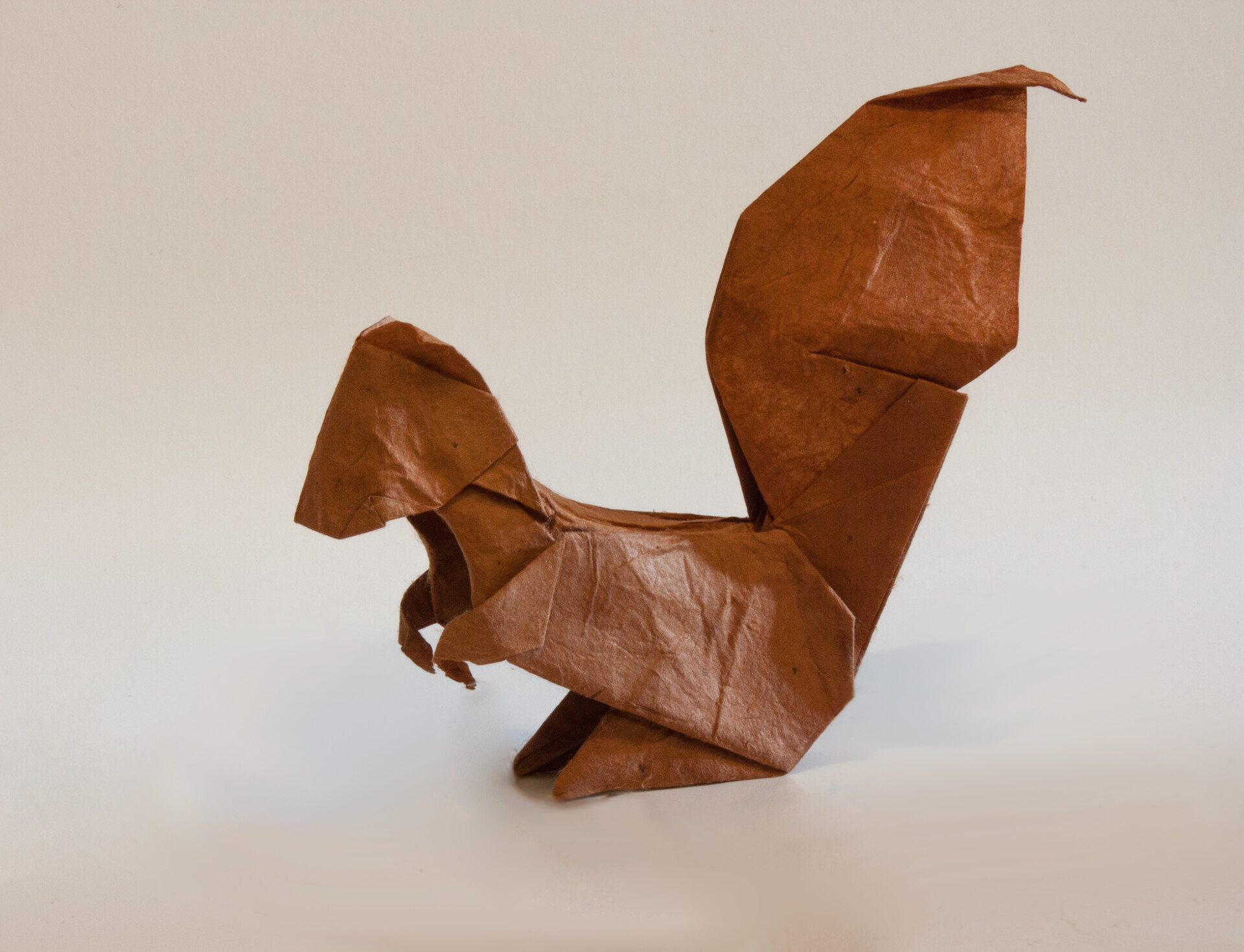 William Whitehead - 3D Prints & Origami - Photographs