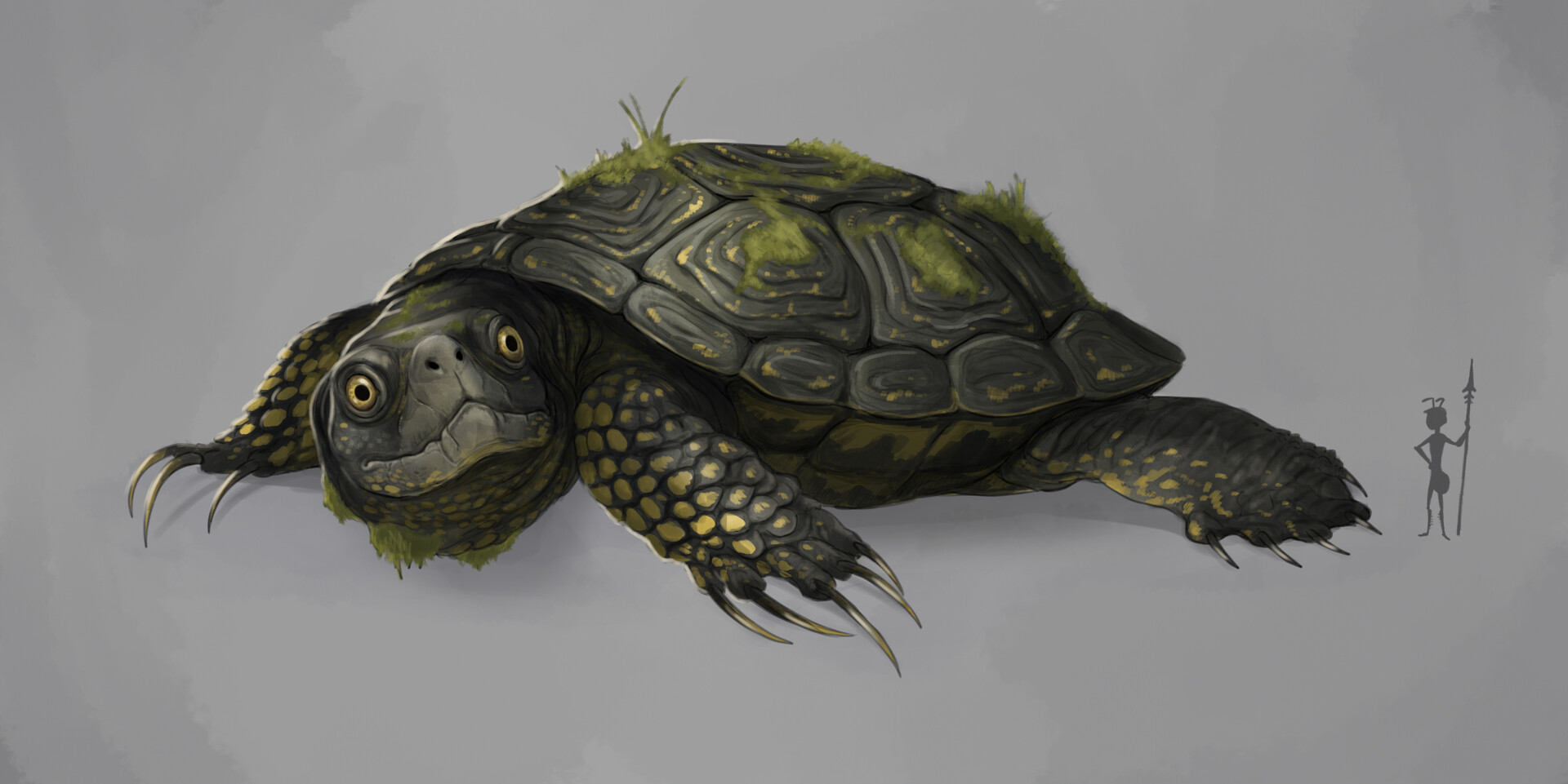 ArtStation - European Pond Turtle
