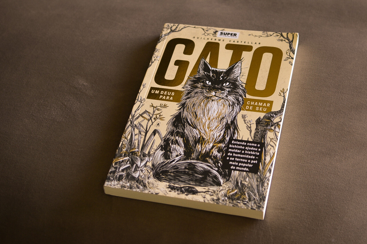 ArtStation - Book Cat