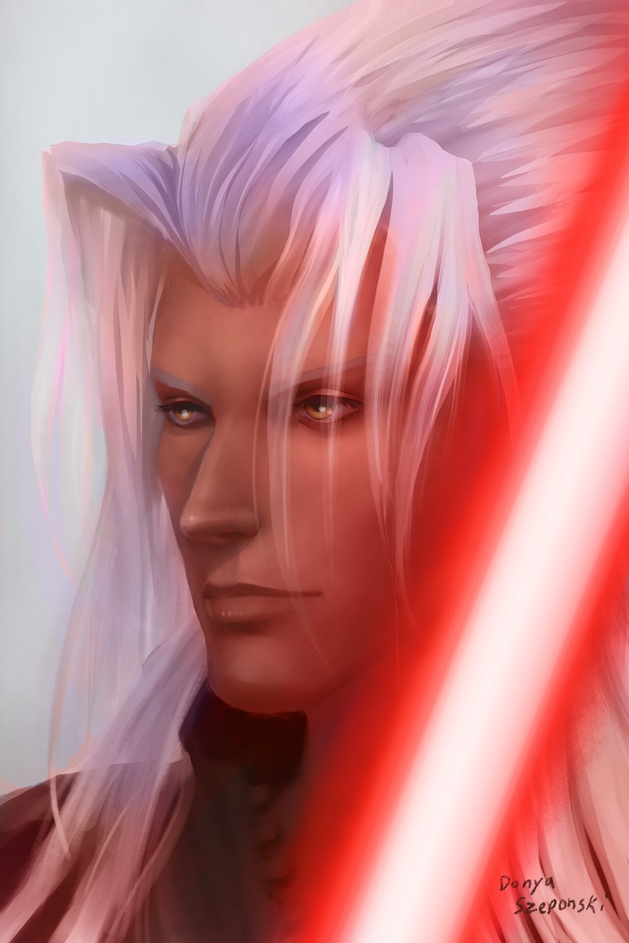 xemnas wig