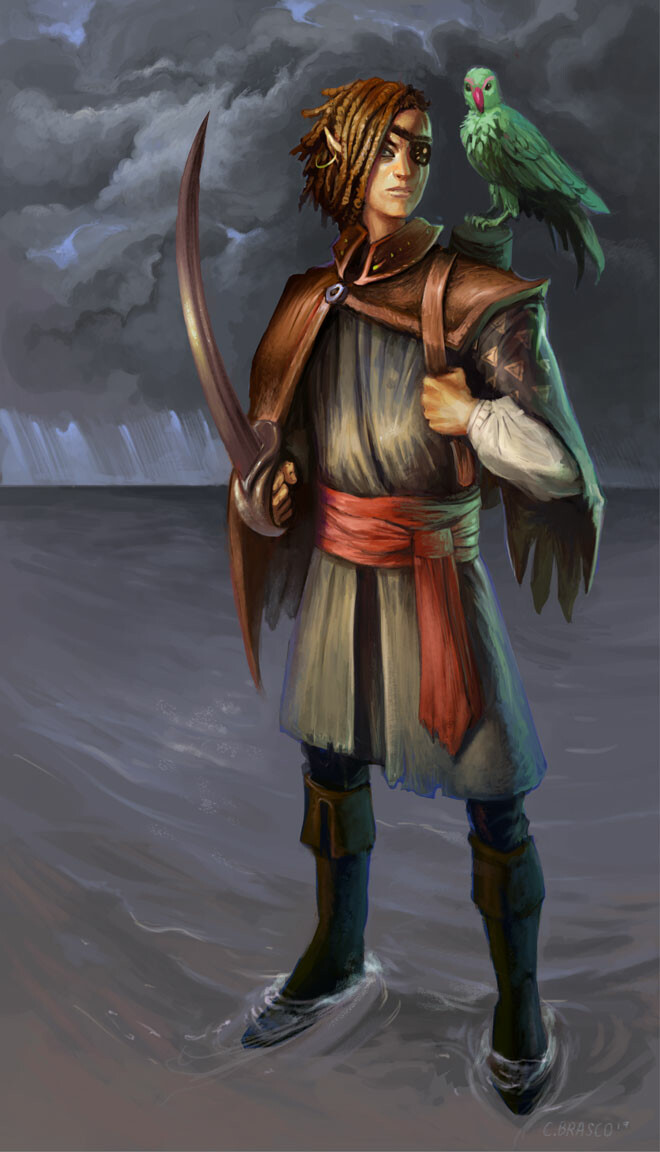 ArtStation - Elf Pirate