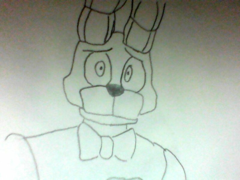 ArtStation - Bonnie sketch