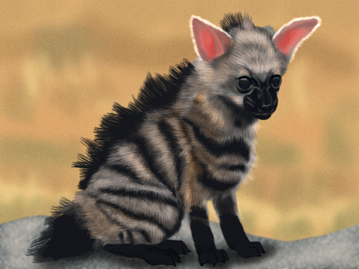 Aardwolf Pet