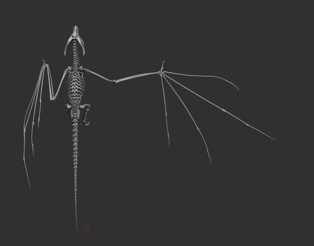 dragon skeleton flying