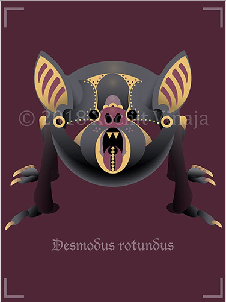 ArtStation - Bat (Desmodus rotundus)