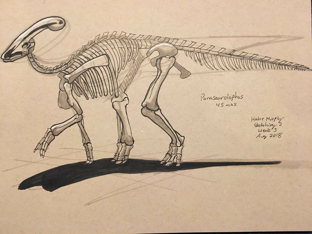 Katie Red Brooks - Dynamic Sketching: Parasaur