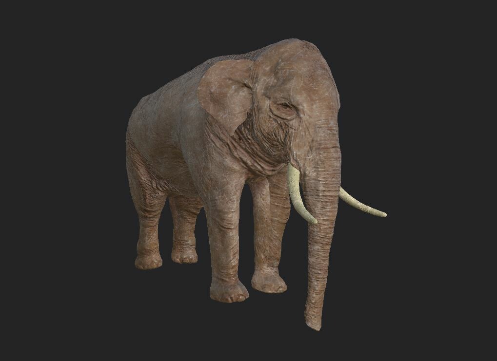 ArtStation - Textured Elephant