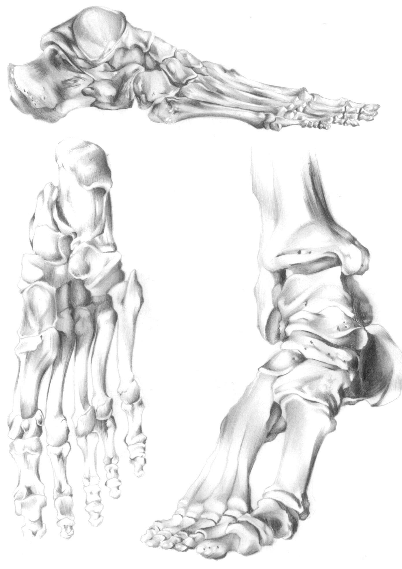 how to draw skeleton feet
