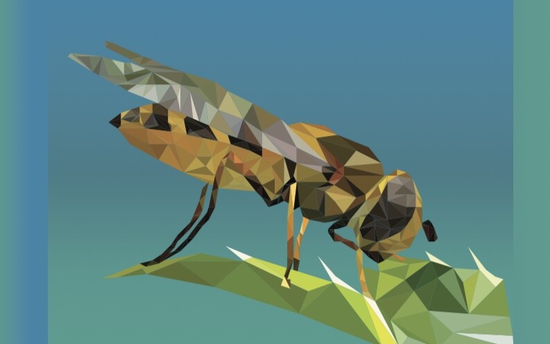 ArtStation - Low Poly Bee