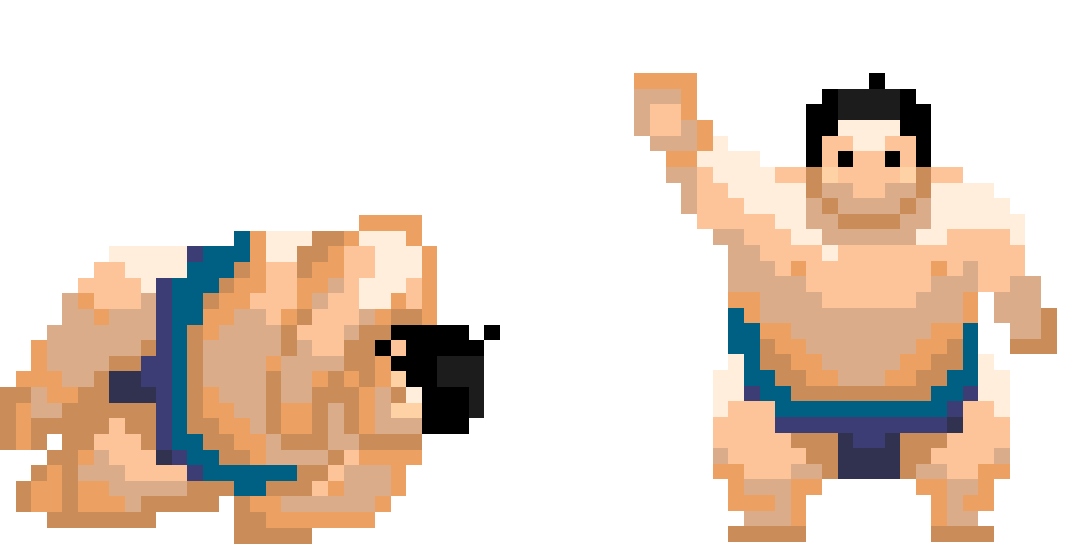 Erick Bruno - Sumo minigame