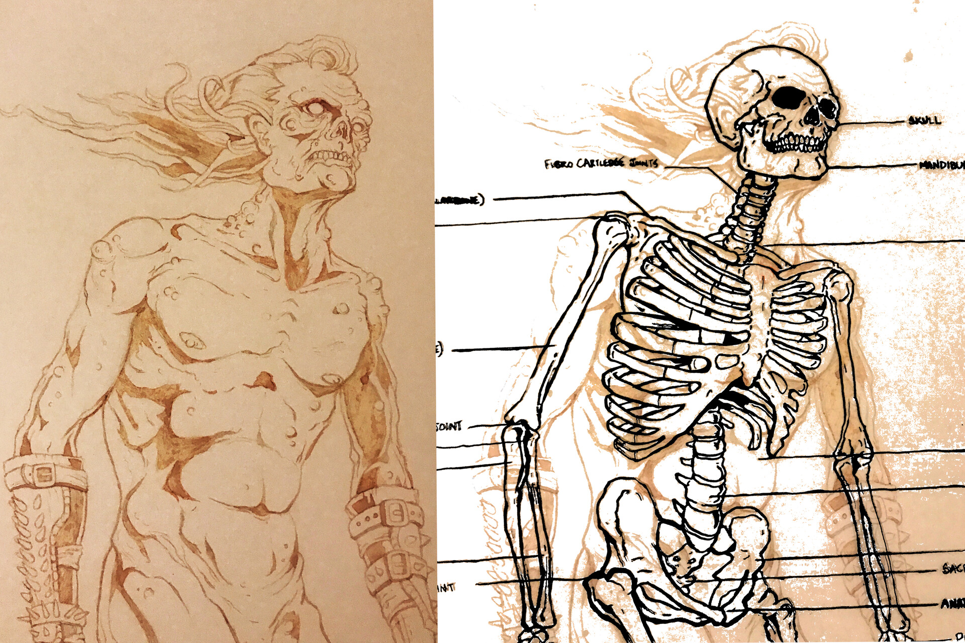 zombie skeleton drawing