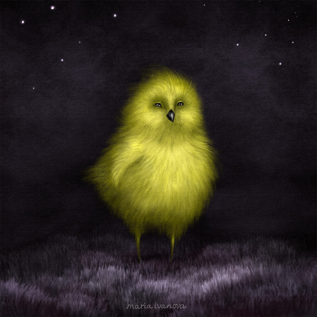 ArtStation - Midnight Bird