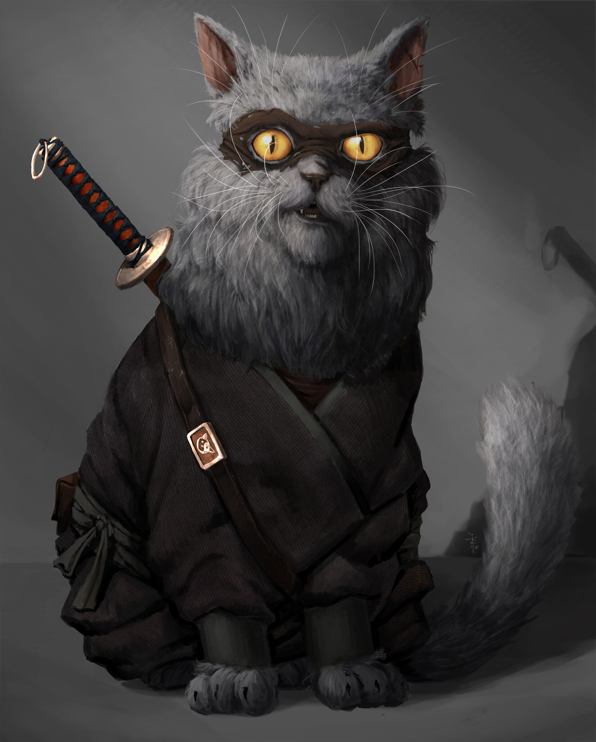 Black Ninja Cat