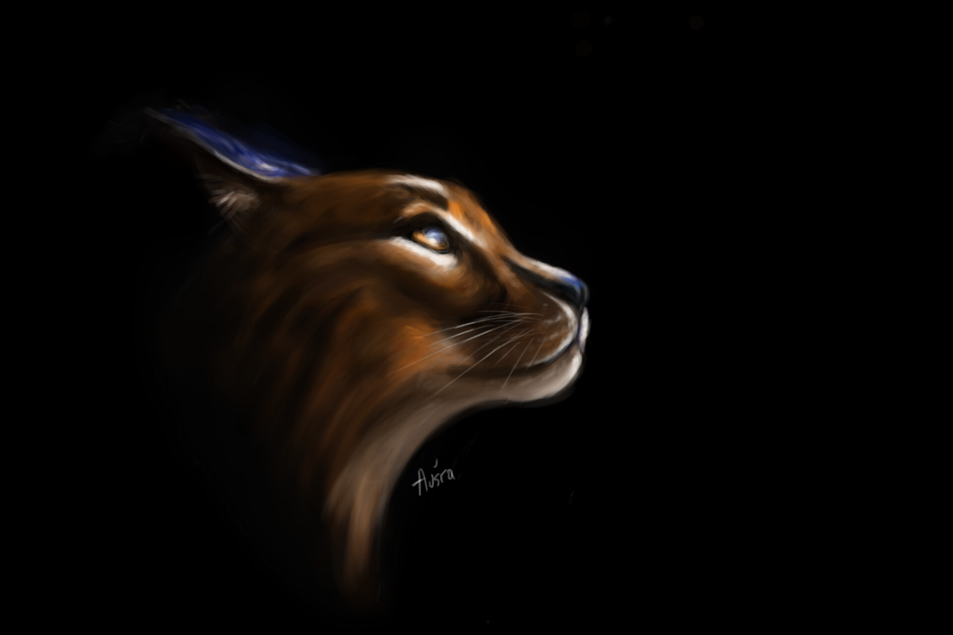 ArtStation - Practice Caracal