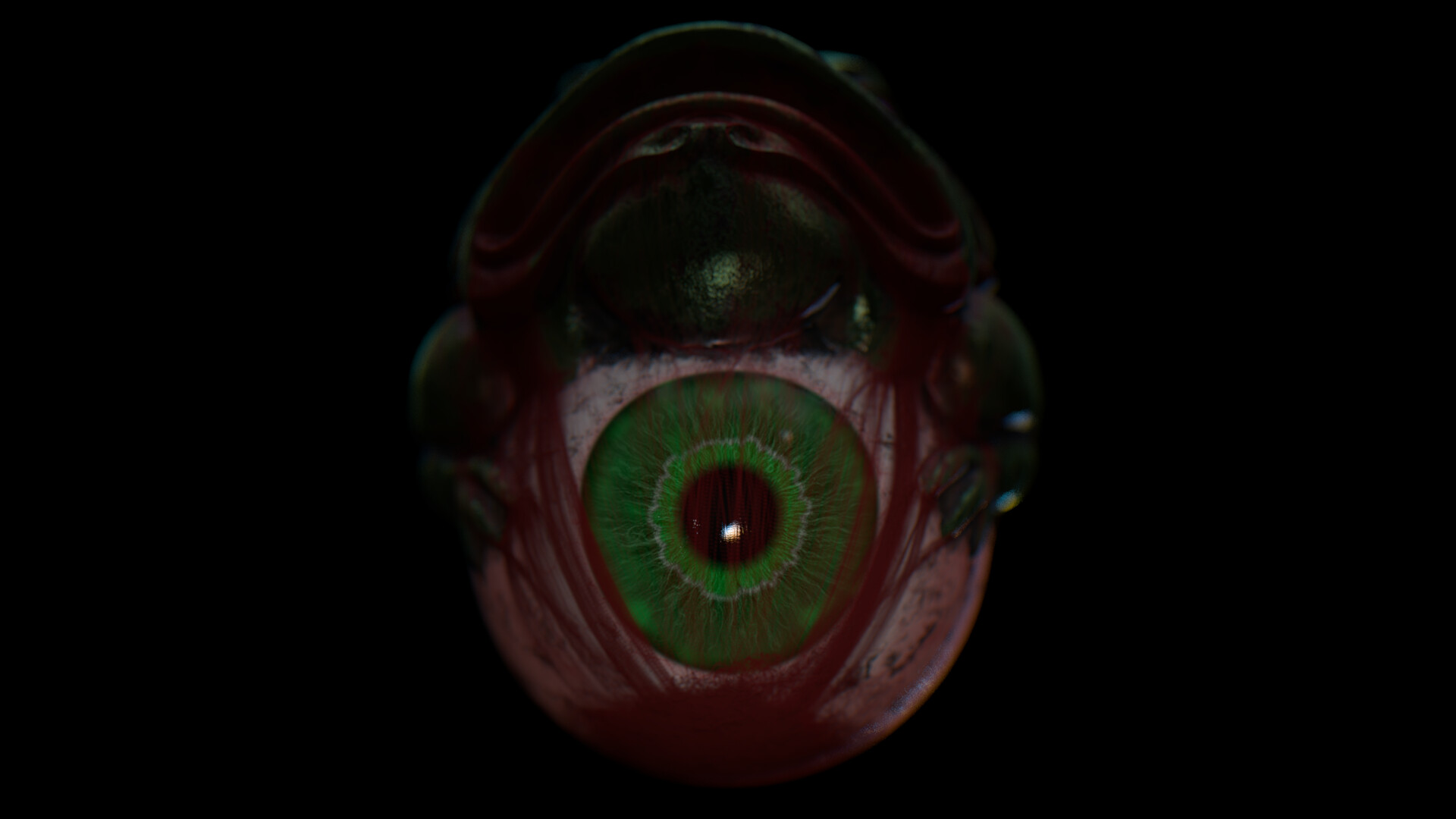 ArtStation - Cursed Toad