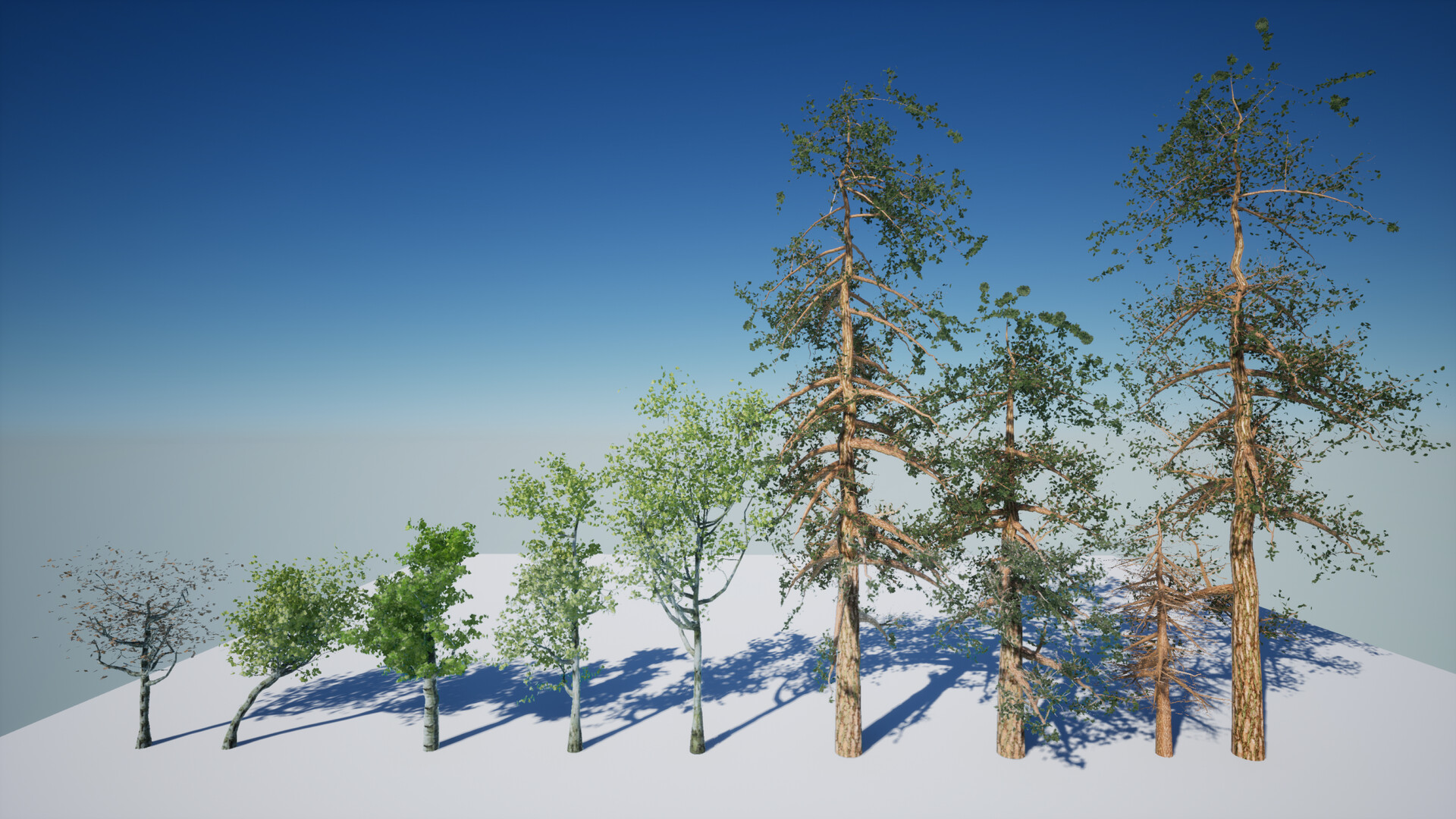 Hongren Yan(Jerry) - Houdini Procedural Tree Tools
