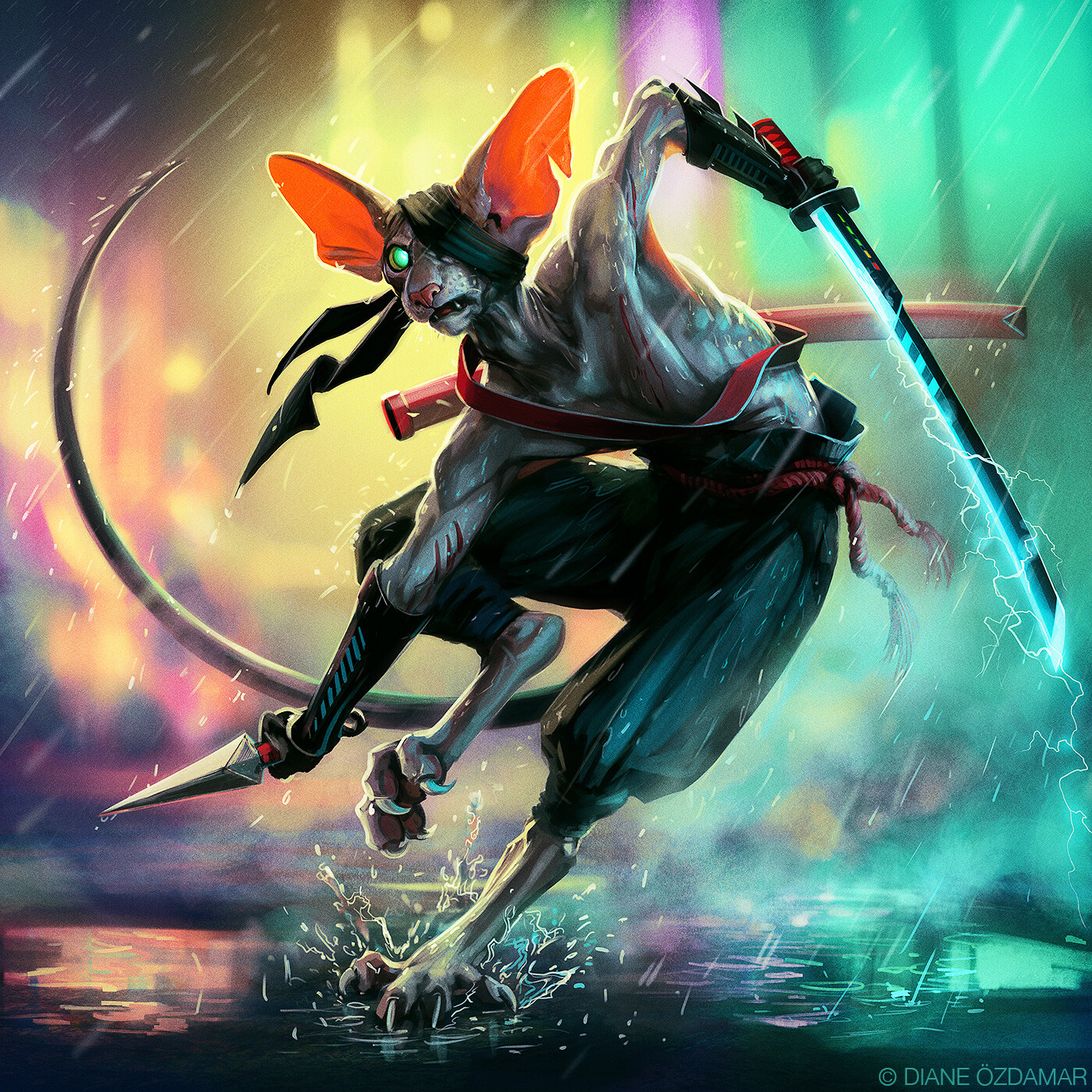 ArtStation - The One-eyed Shadow - CDC "Ninja Cat"
