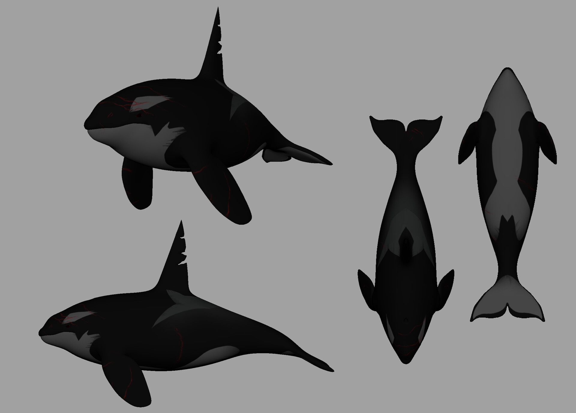 Rund Noor - Untethered: Models