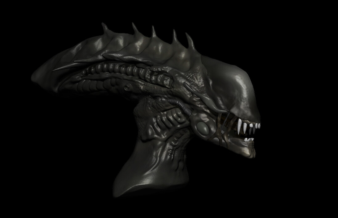 xenomorph warrior head