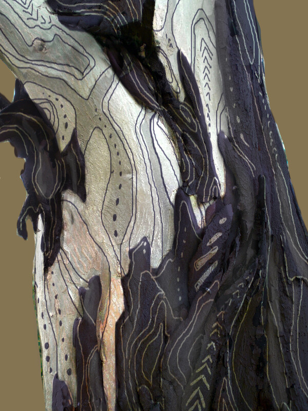 Coline Mesplou - animal trees concept and lookdev for lion short movie