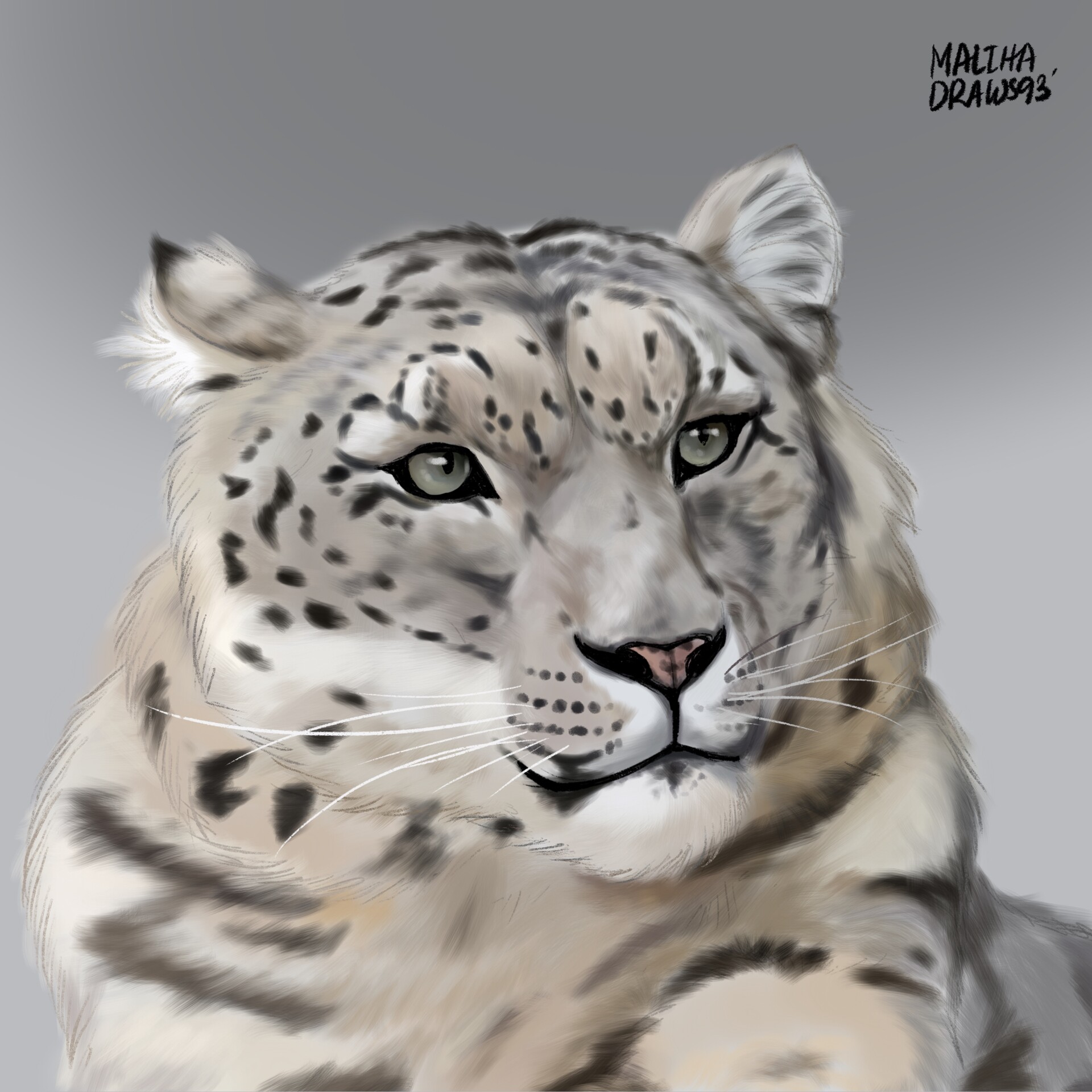 ArtStation - Snow leopard