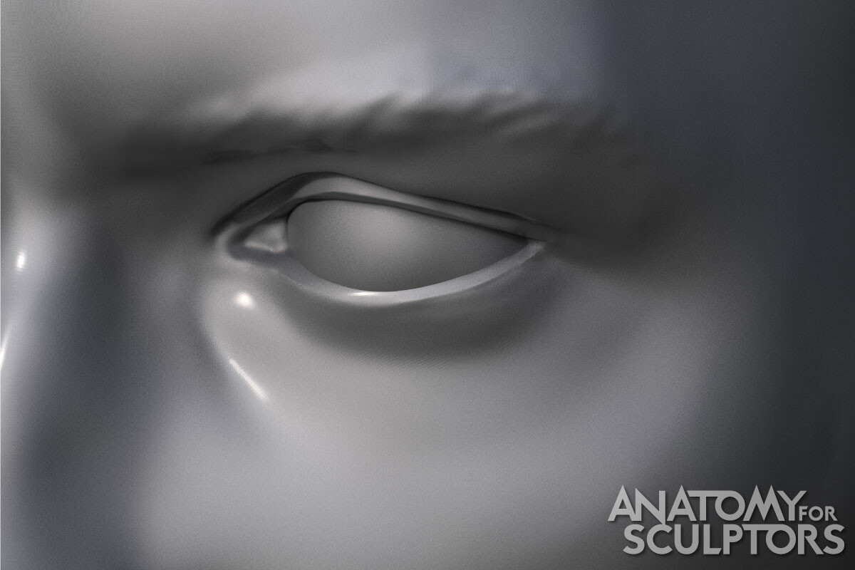 Anatomy For Sculptors - From Simple To Complex - Eye
