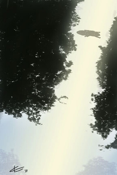 Christopher Lane - Various Environment practices