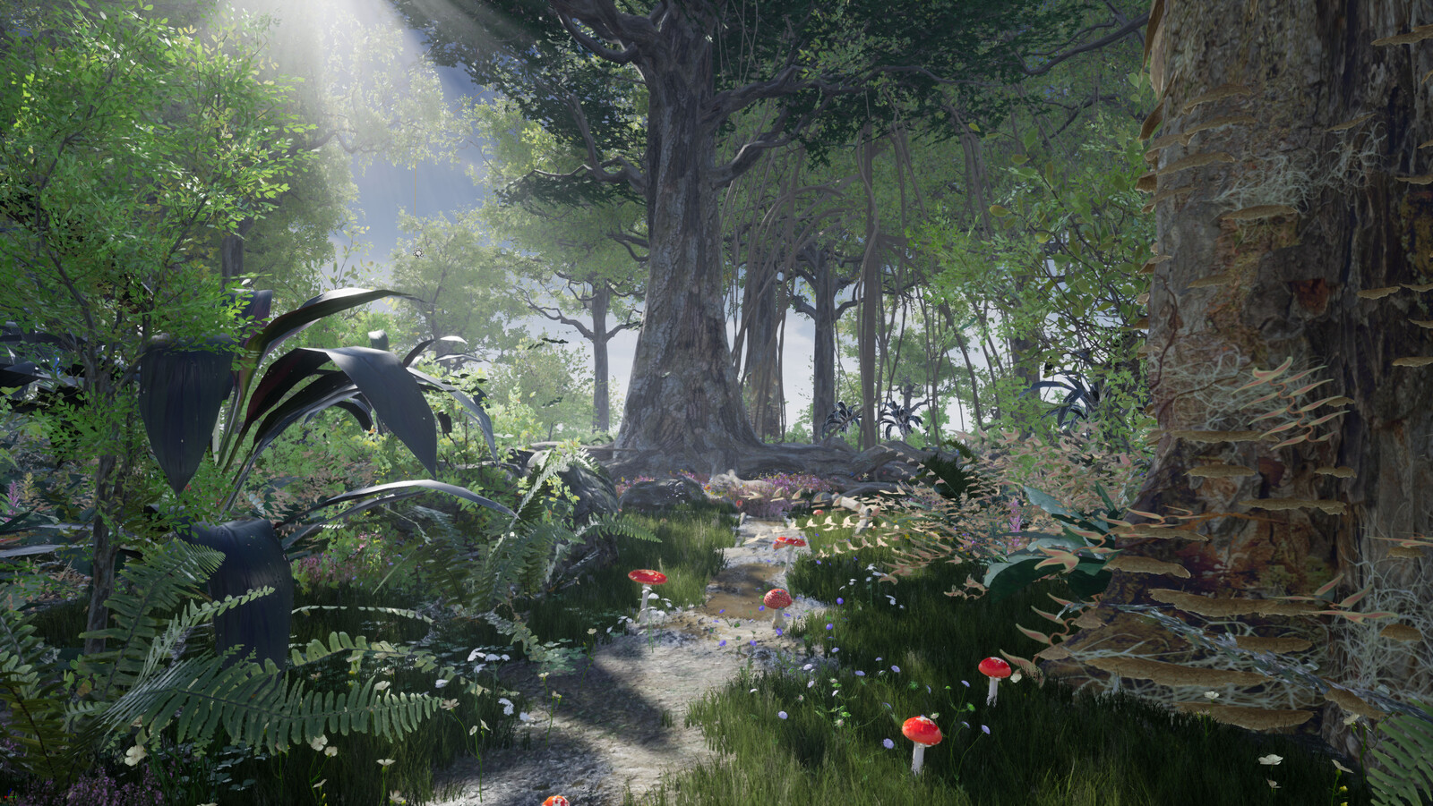 Bruno Lucidi - Forest Environment