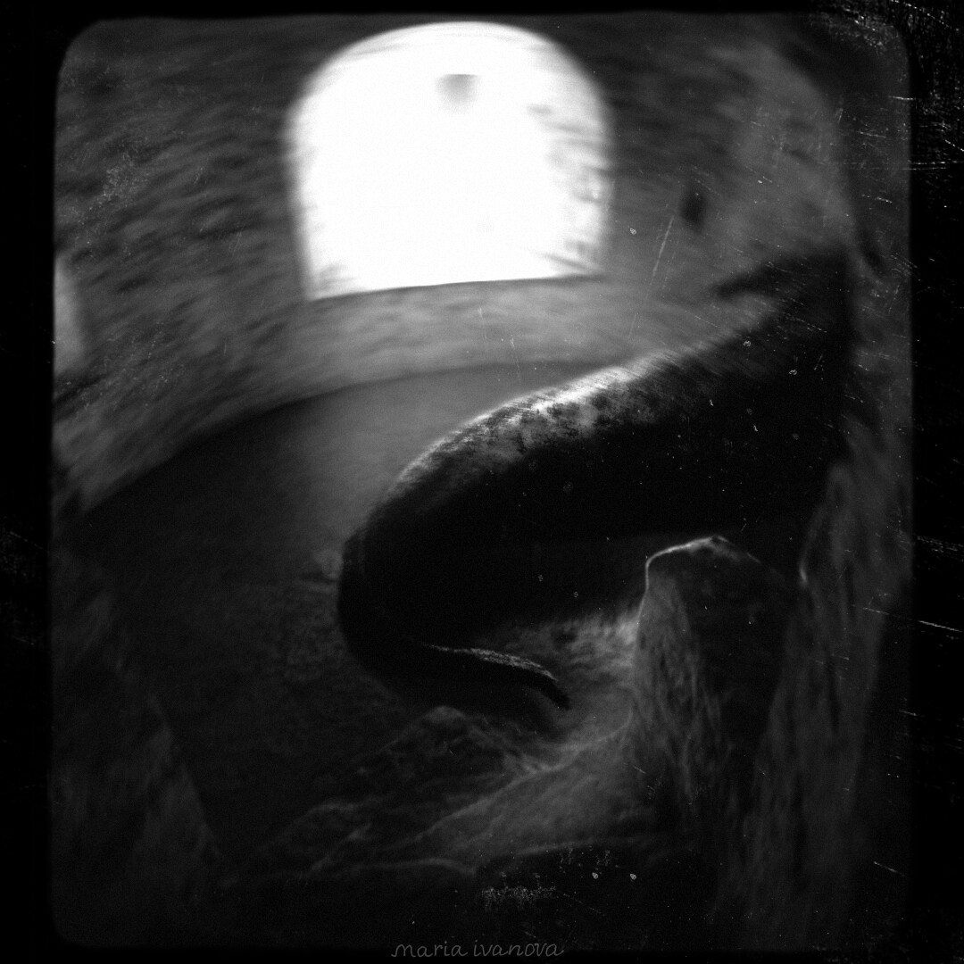 ArtStation - Dragon's Lair