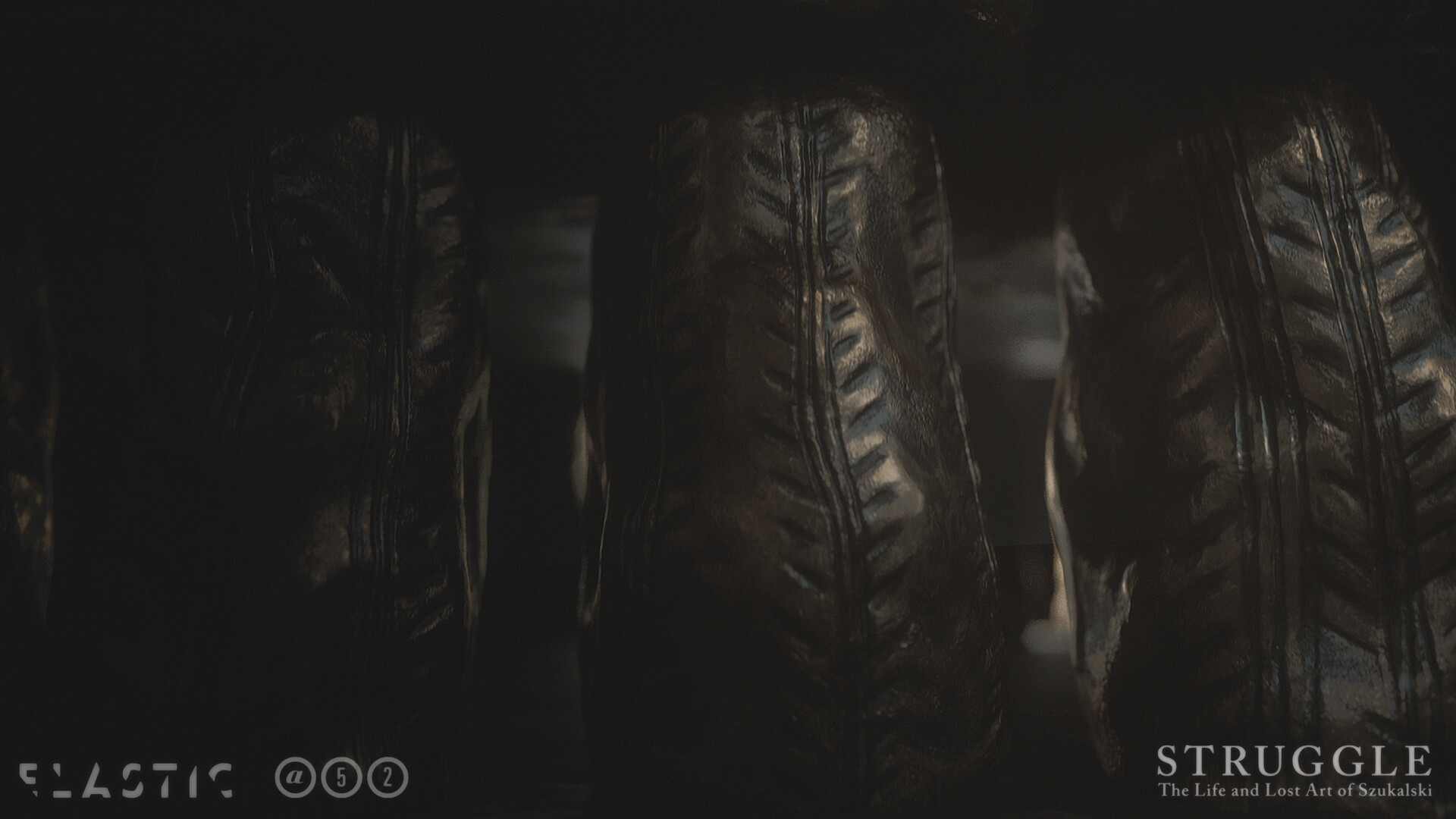 CITRIKS - Struggle - Rooster of Gaul