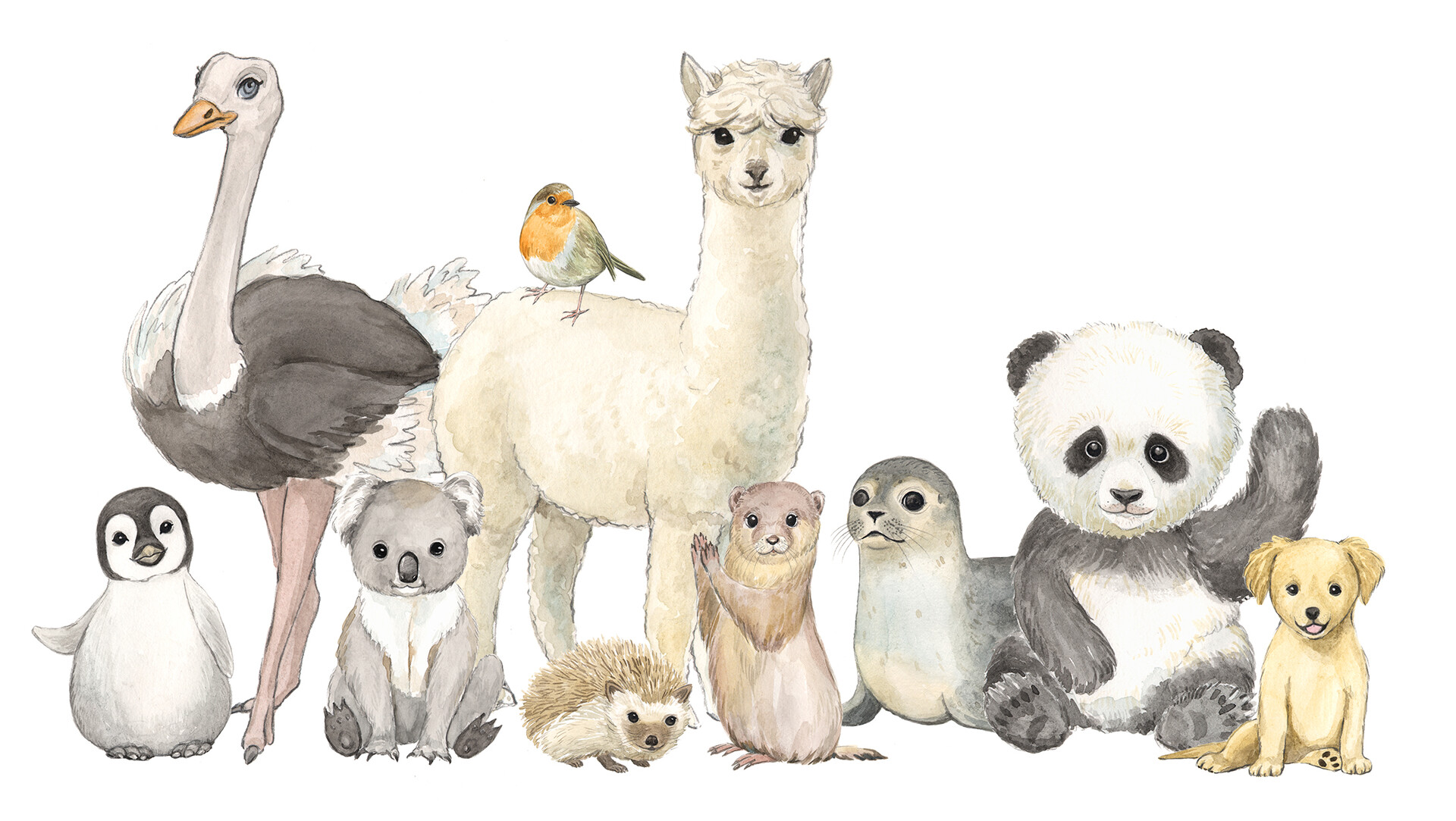 ArtStation - Animal world